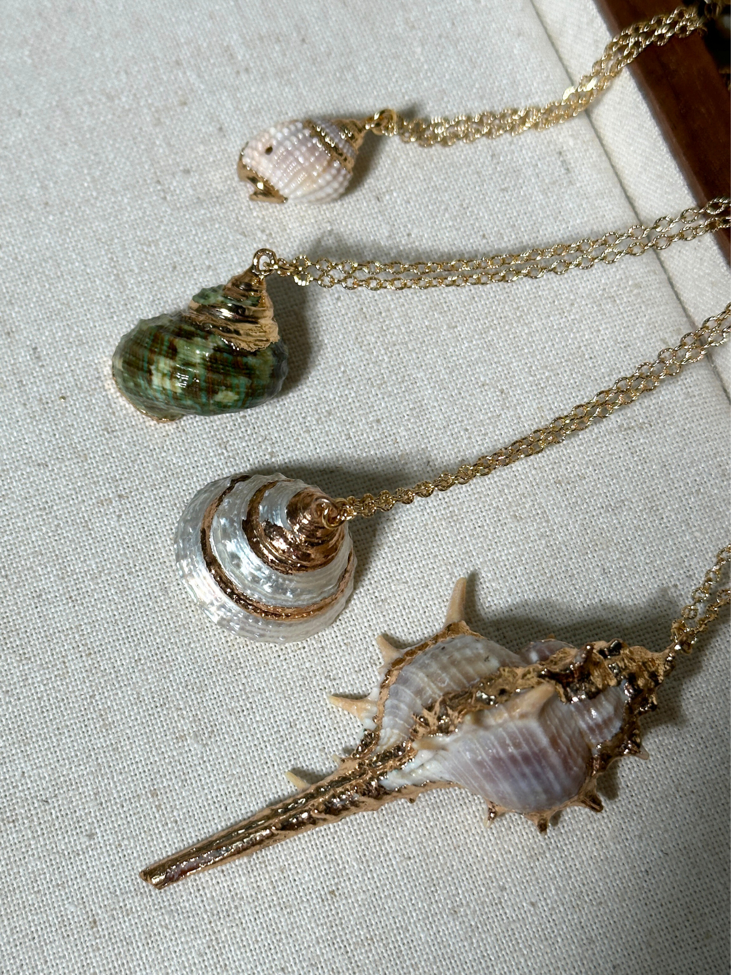 Erica Golden Shell Necklace – Missophia