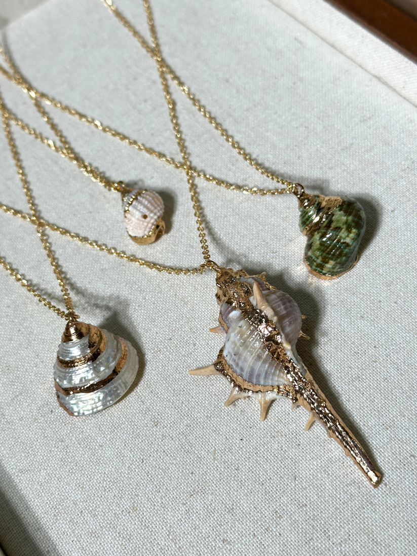 Erica Golden Shell Necklace – Missophia