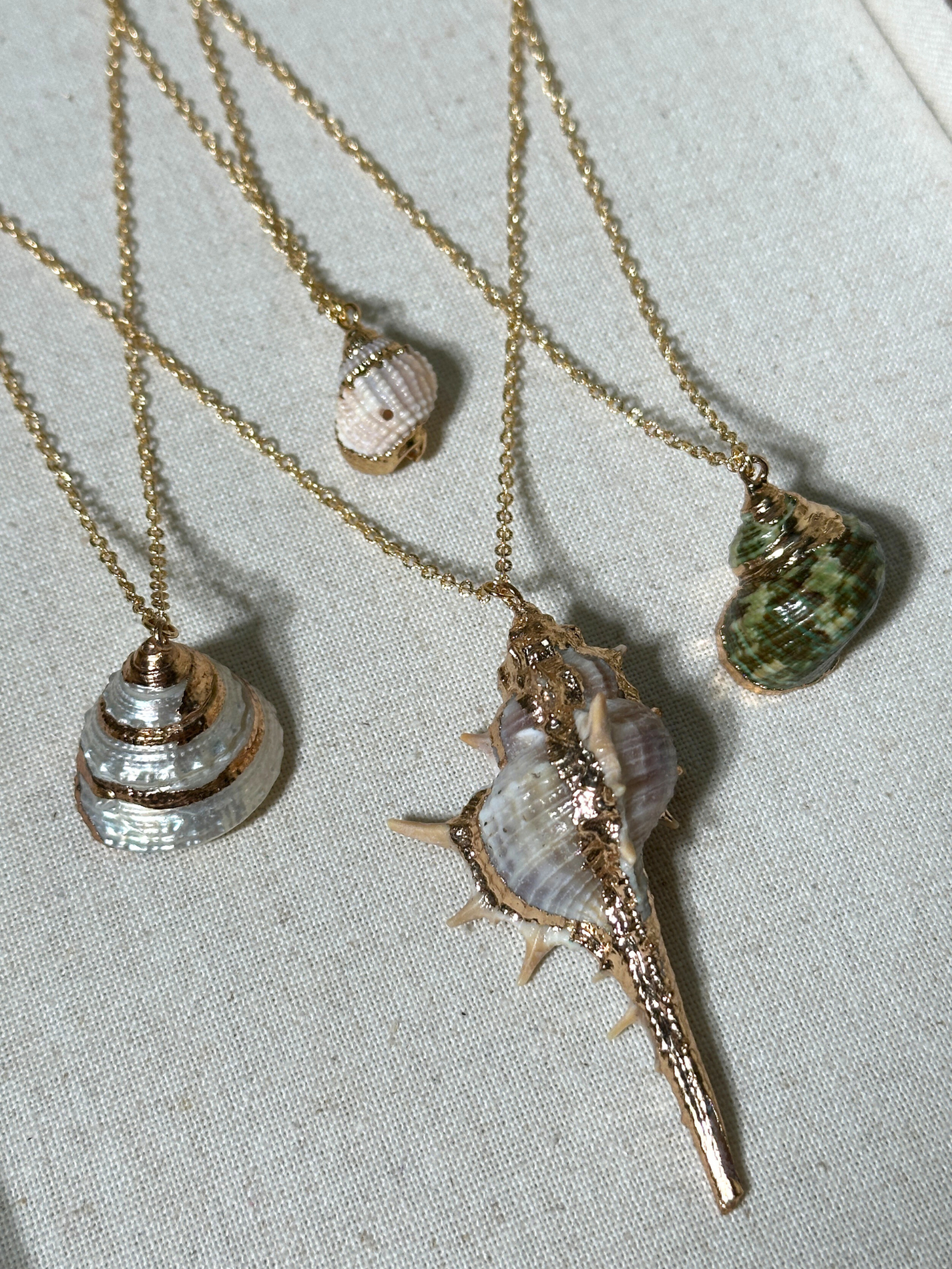 Erica Golden Shell Necklace – Missophia