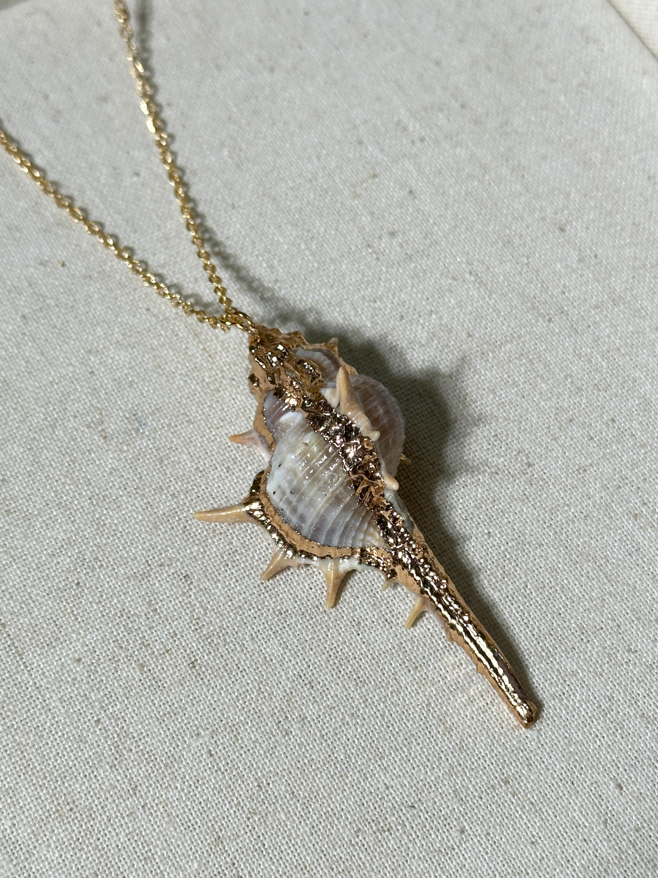 Erica Golden Shell Necklace – Missophia